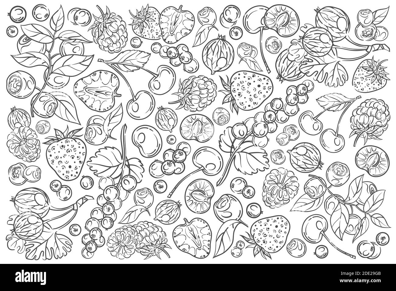 Hand drawn berries set Stock Vector Image & Art - Alamy