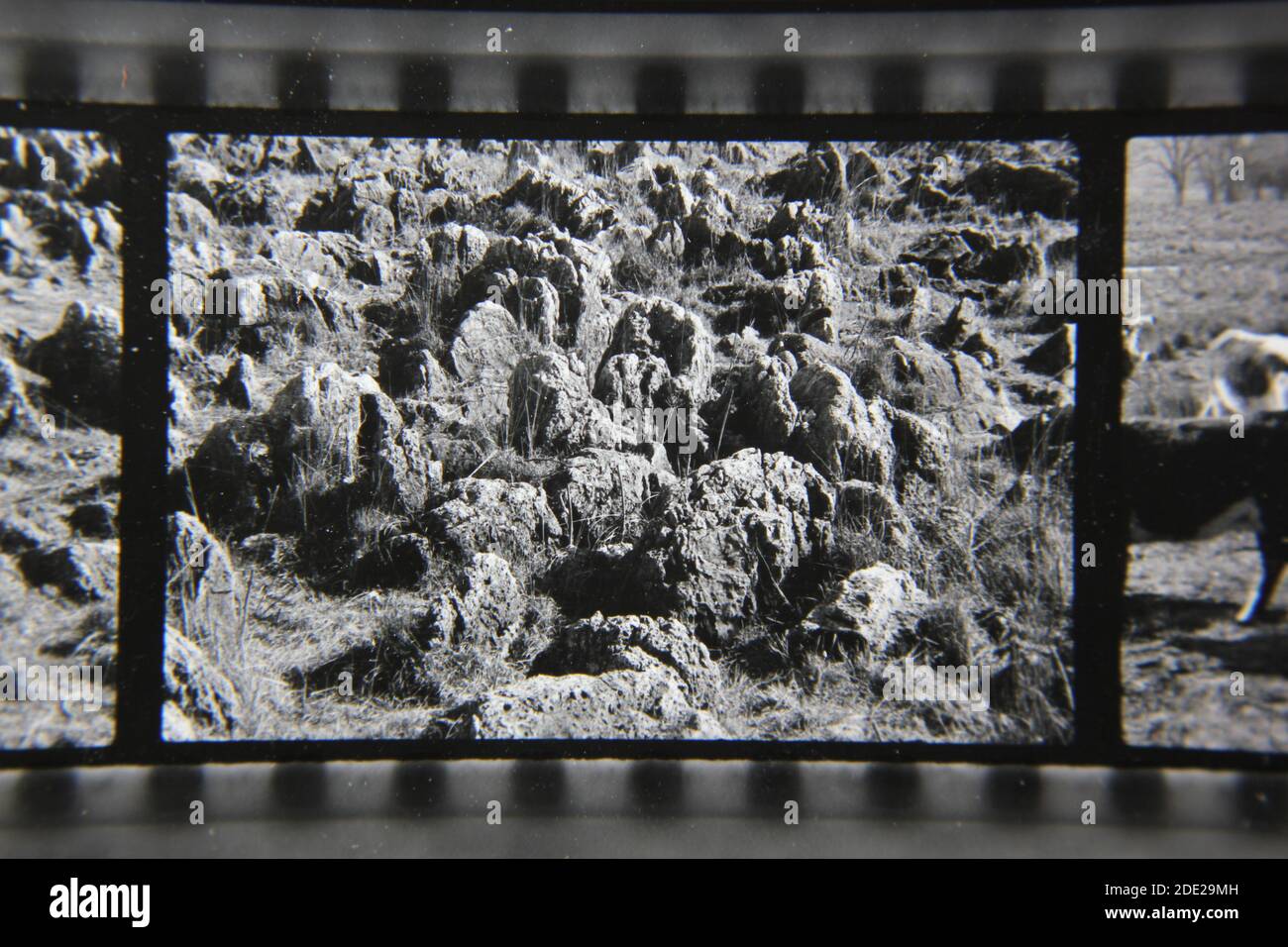 Fine 1970s vintage black and white photography of bumpy and rough ...