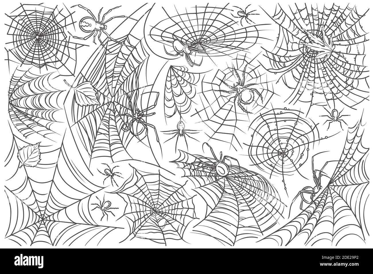 Hand drawn spider and web. Cobweb and spider, symbols of horror danger ...
