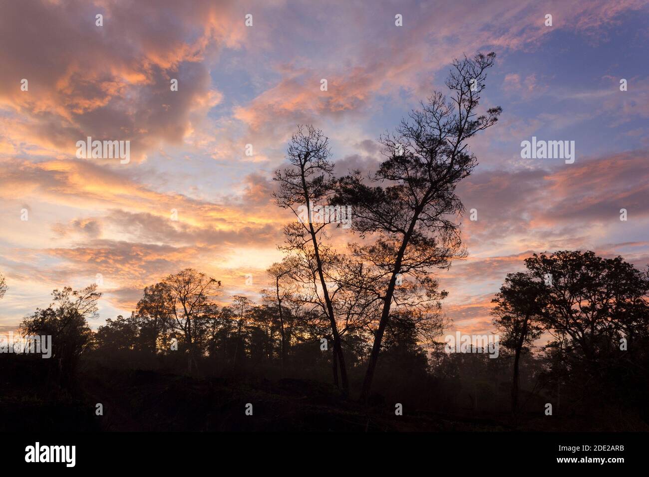 Beautiful sunrise on Puncak Megasari Stock Photo - Alamy