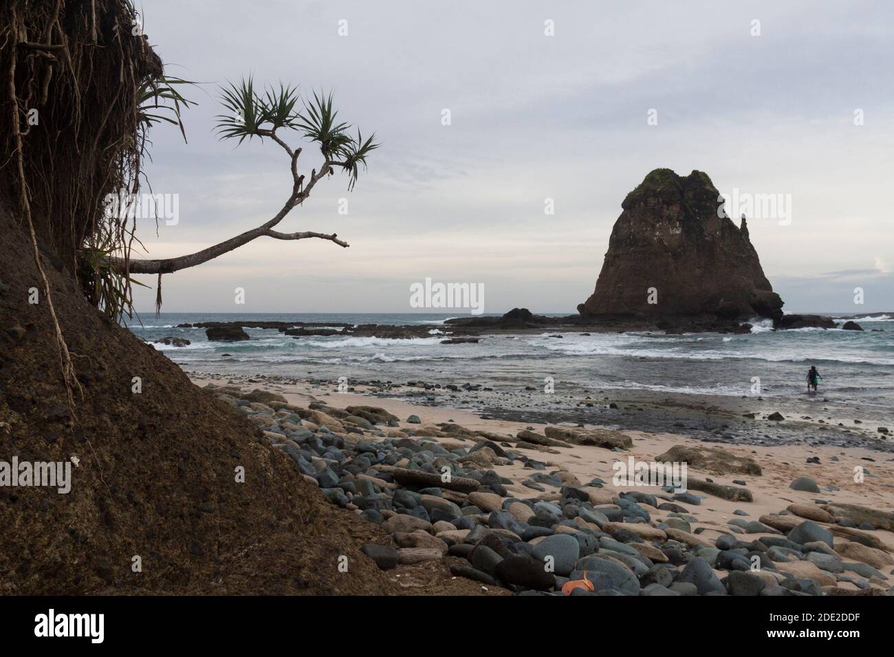 Papuma beach is one of the tourist destinations in Jember, East Java ...