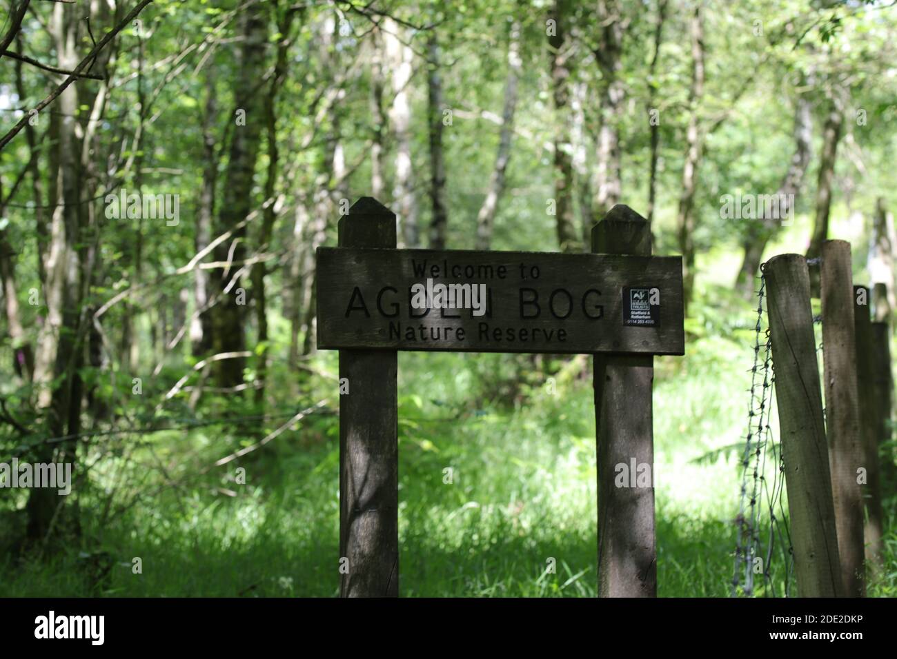 Agden bog nature reserve hi-res stock photography and images - Alamy