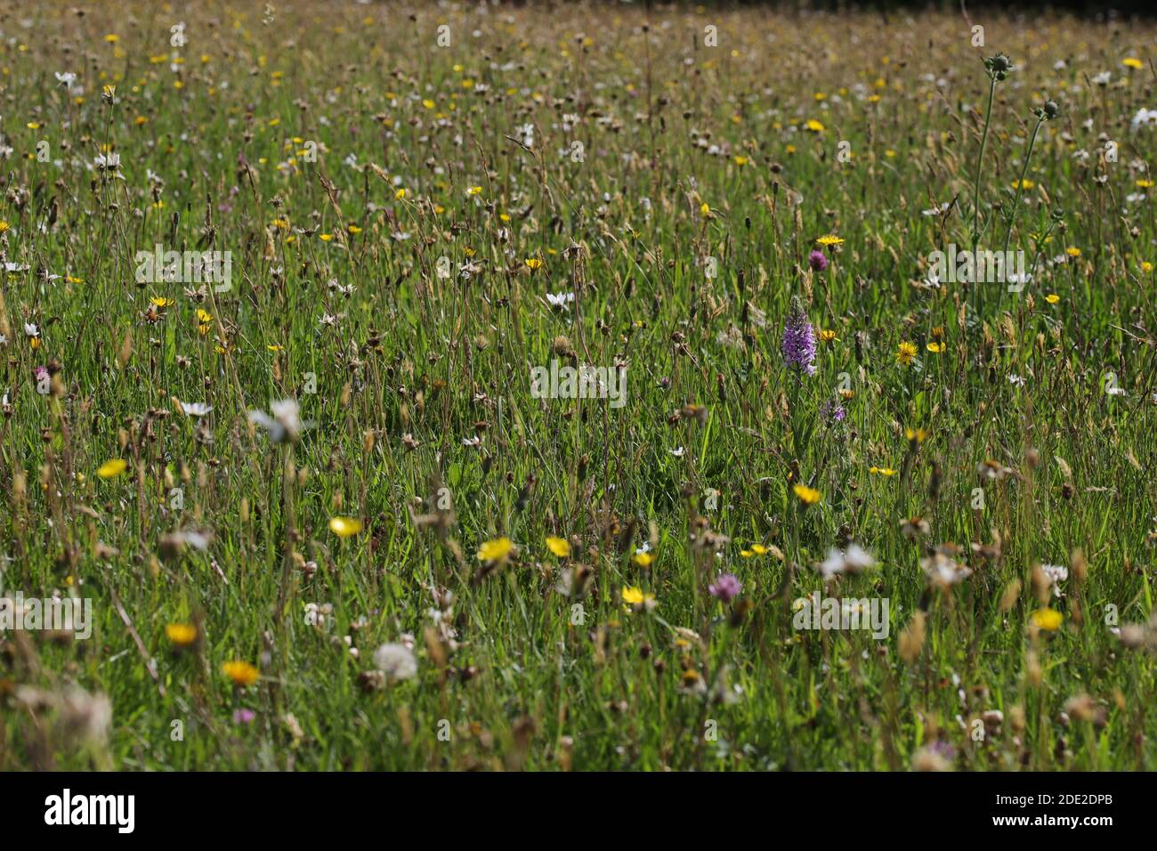 Carr house hi-res stock photography and images - Alamy