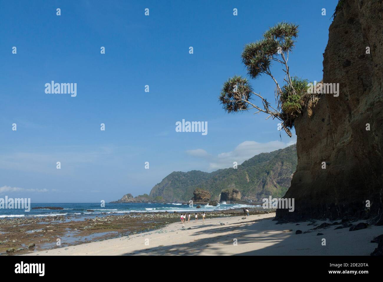 Papuma beach is one of the tourist destinations in Jember, East Java ...