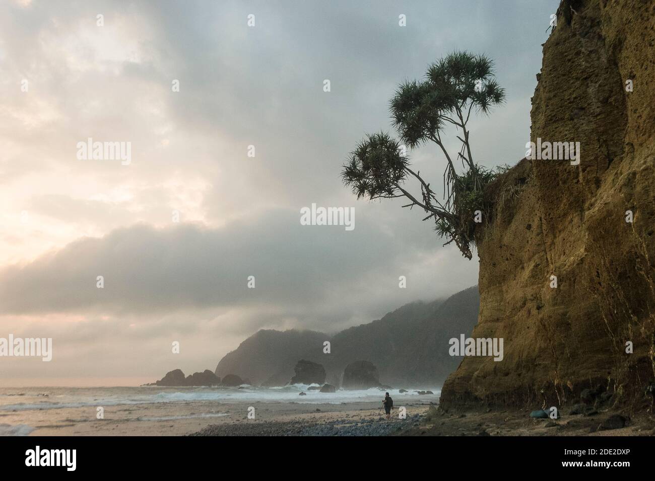 Papuma beach is one of the tourist destinations in Jember, East Java ...