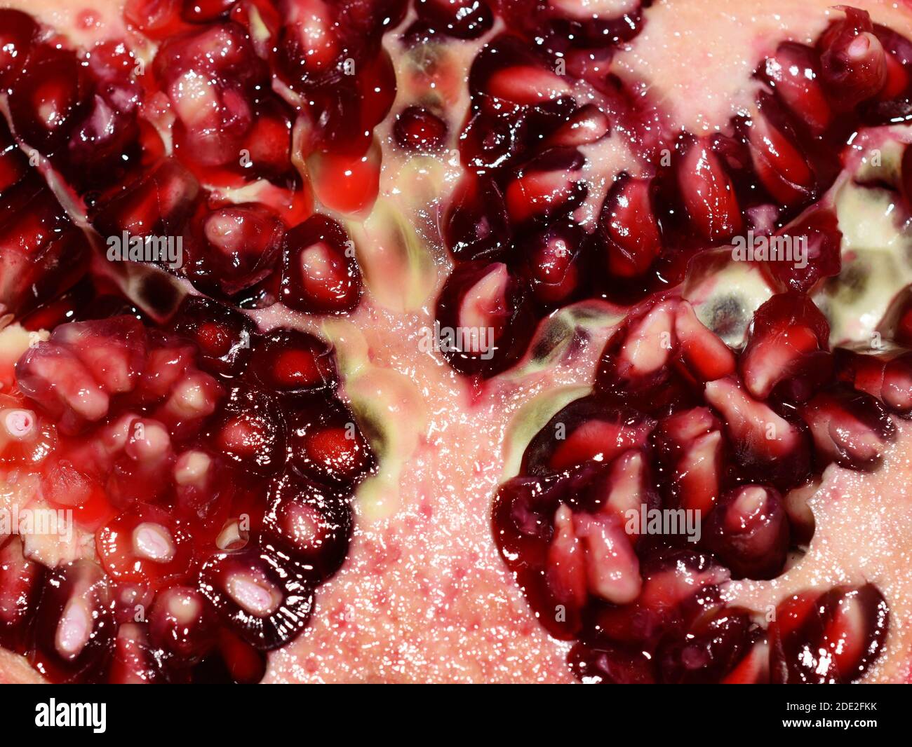 Cross section fruit hi-res stock photography and images - Alamy