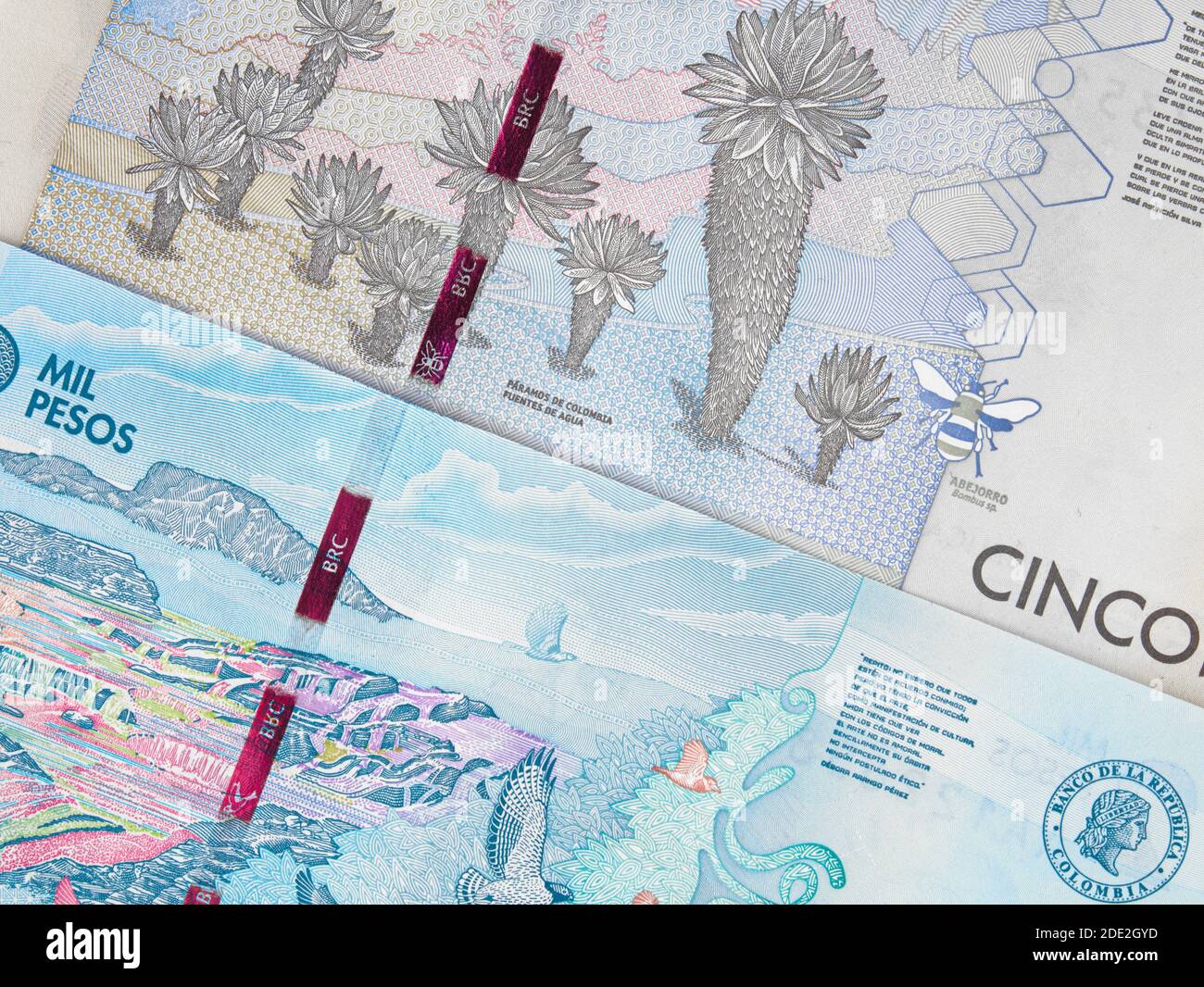 Five peso note hi-res stock photography and images - Alamy