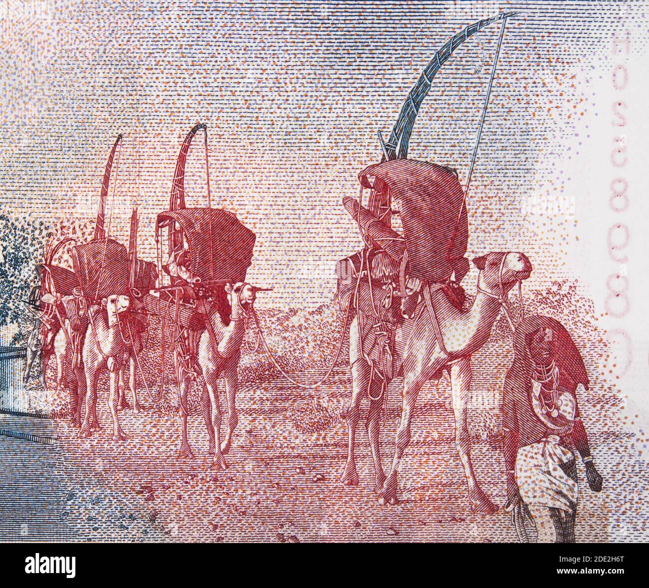 Camel caravan on Kenya 50 shillings banknote close up macro, Kenyan ...