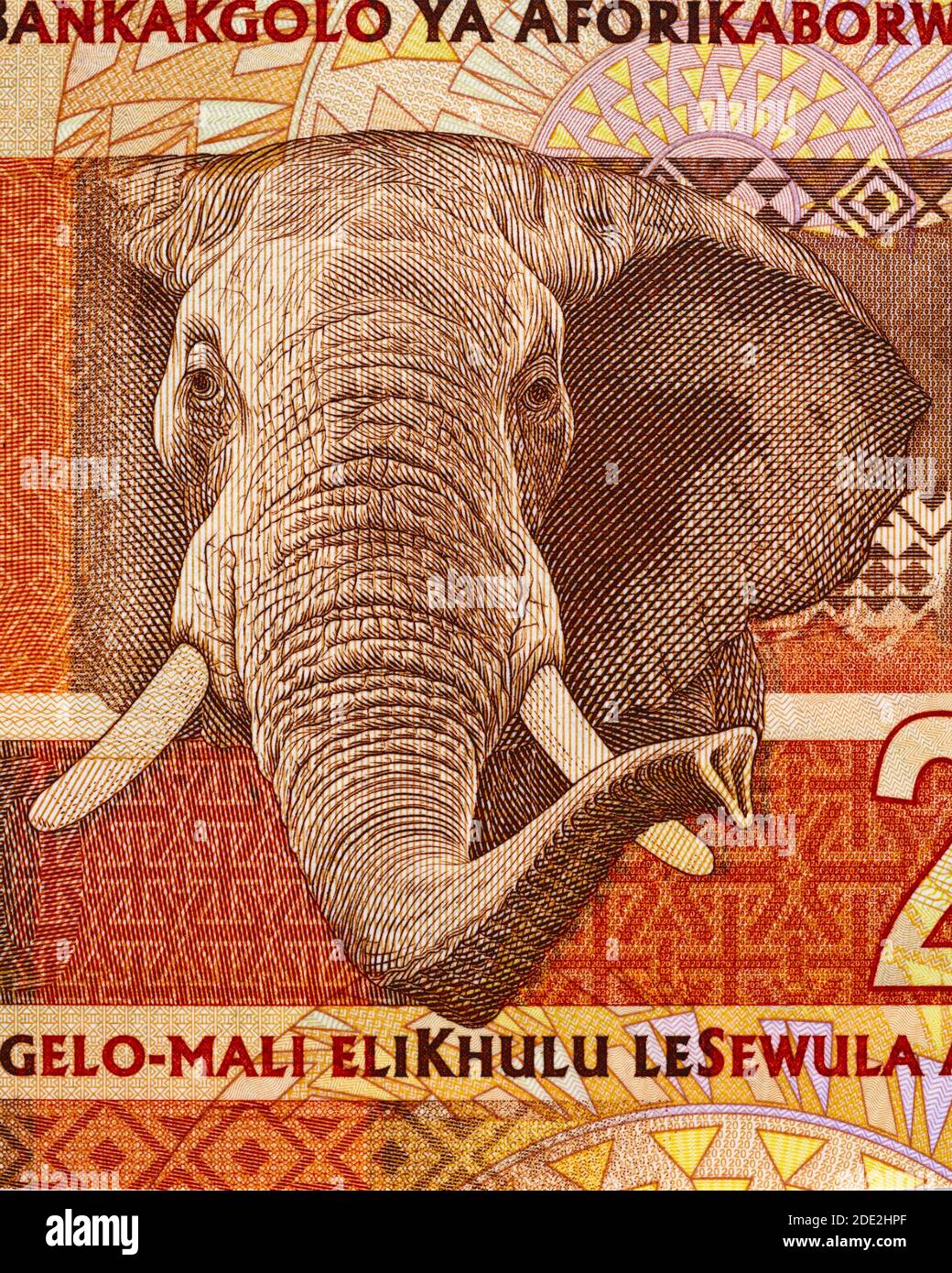 20 rand note hi-res stock photography and images - Alamy