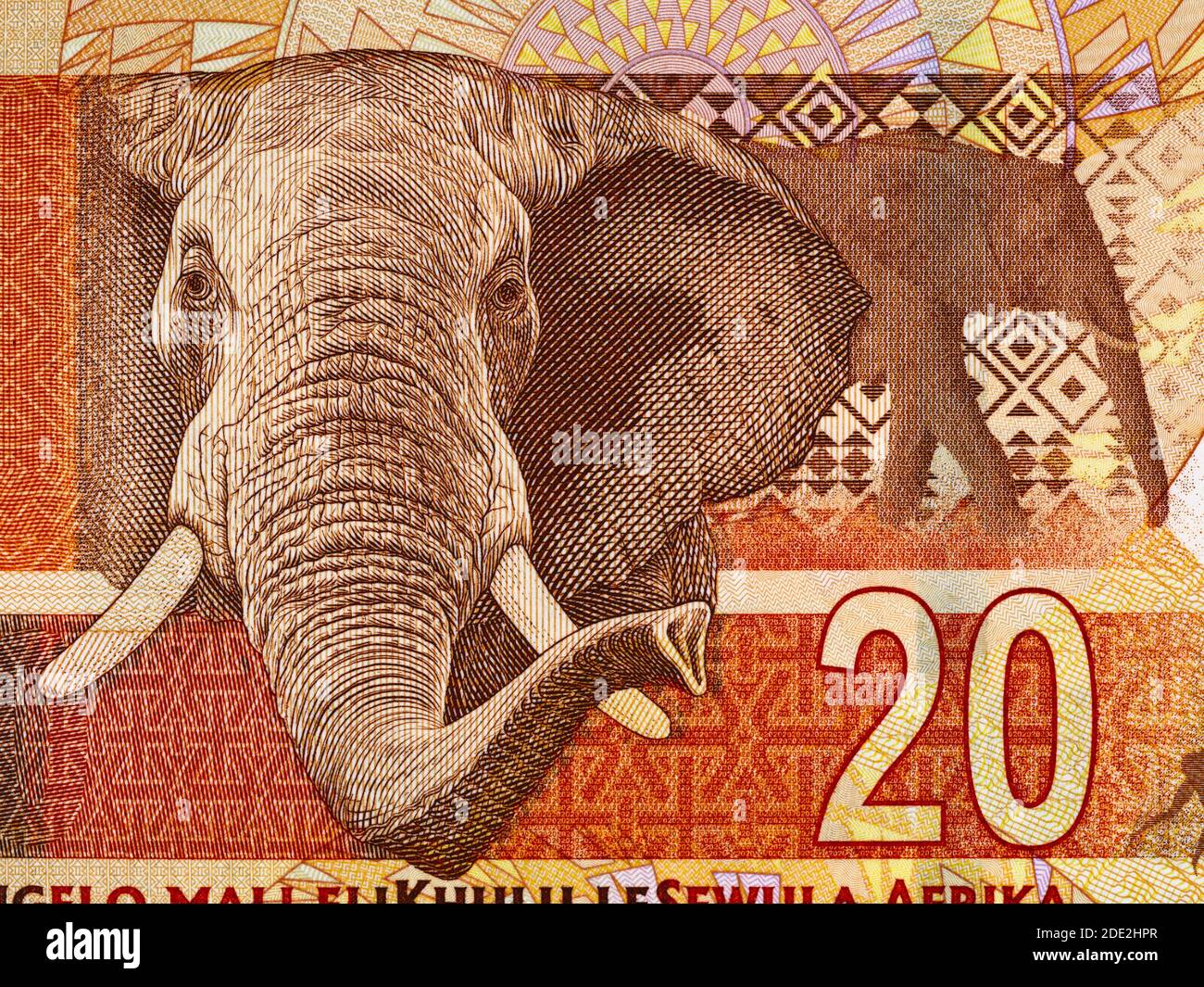 SOUTH AFRICAN BANK NOTE 20 RAND UN ND 2012 C Cheap Good Goods BEST Price Guaranteed Authentic south-african-bank-note-20-rand-un-nd-2012-c-cheap-good-goods-best-price-guaranteed-authentic