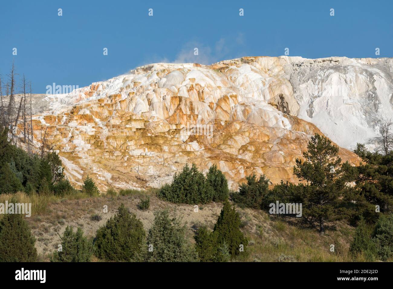 Canary Spring, Mammoth Hot Springs, Yellowstone National Park, Wyoming ...