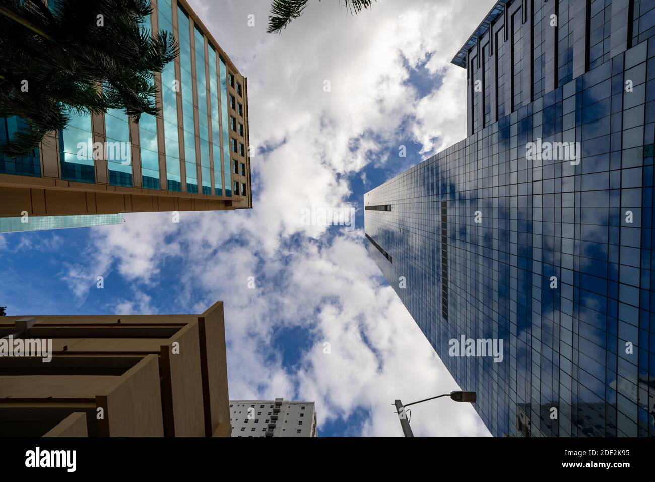 Ground angle view fagcing up towards highrise skyscrapers in the city ...