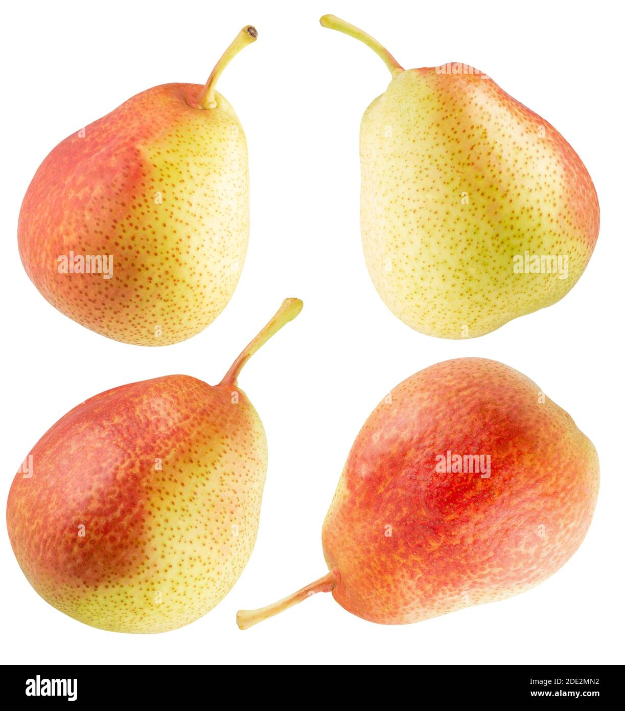 collection of yellow pears isolated on a white background Stock Photo ...
