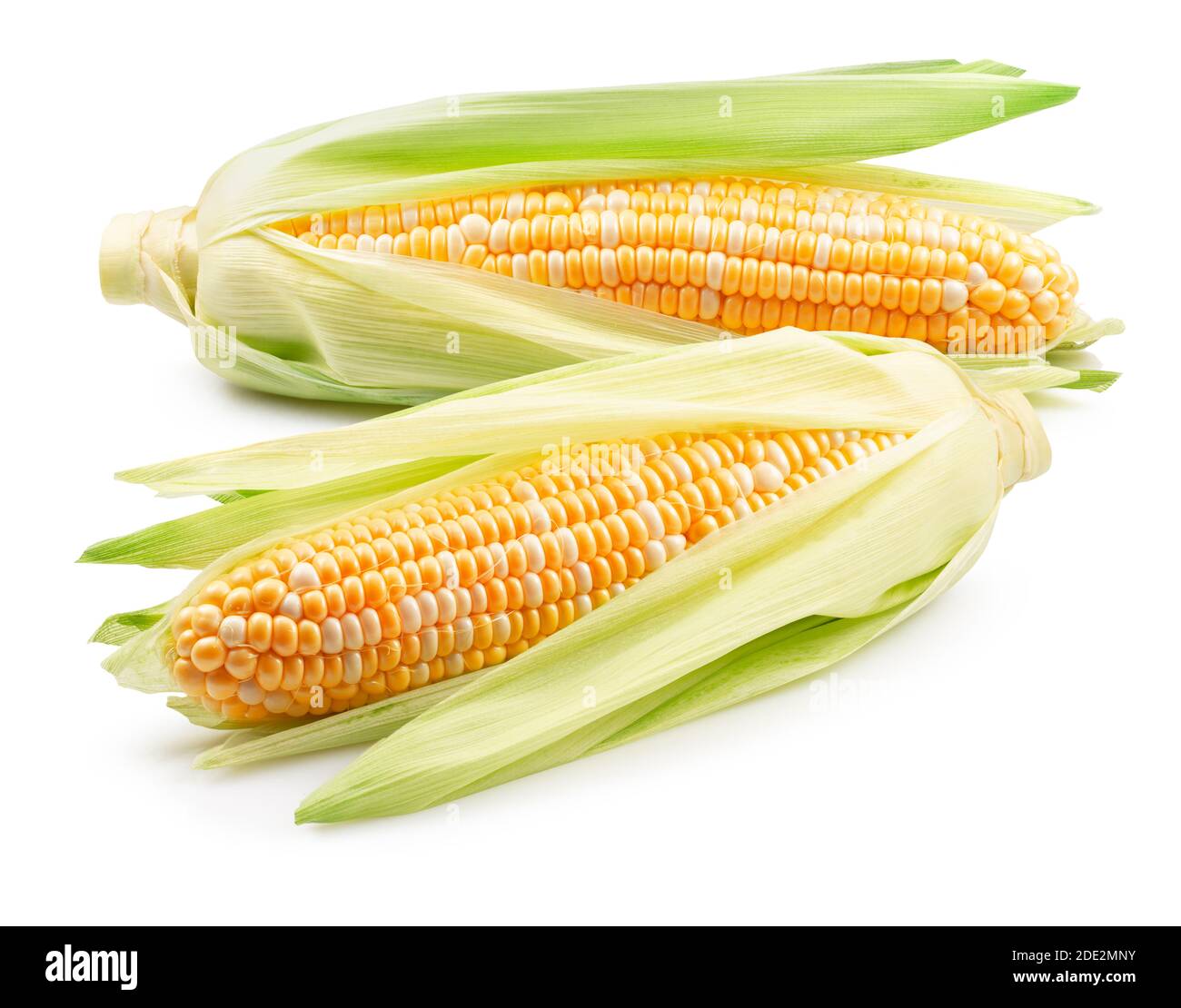 Ears corn composition hi-res stock photography and images - Alamy