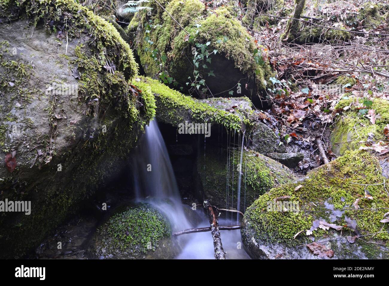 Messy stream flowing In forest, in Tuscany land Stock Photo - Alamy
