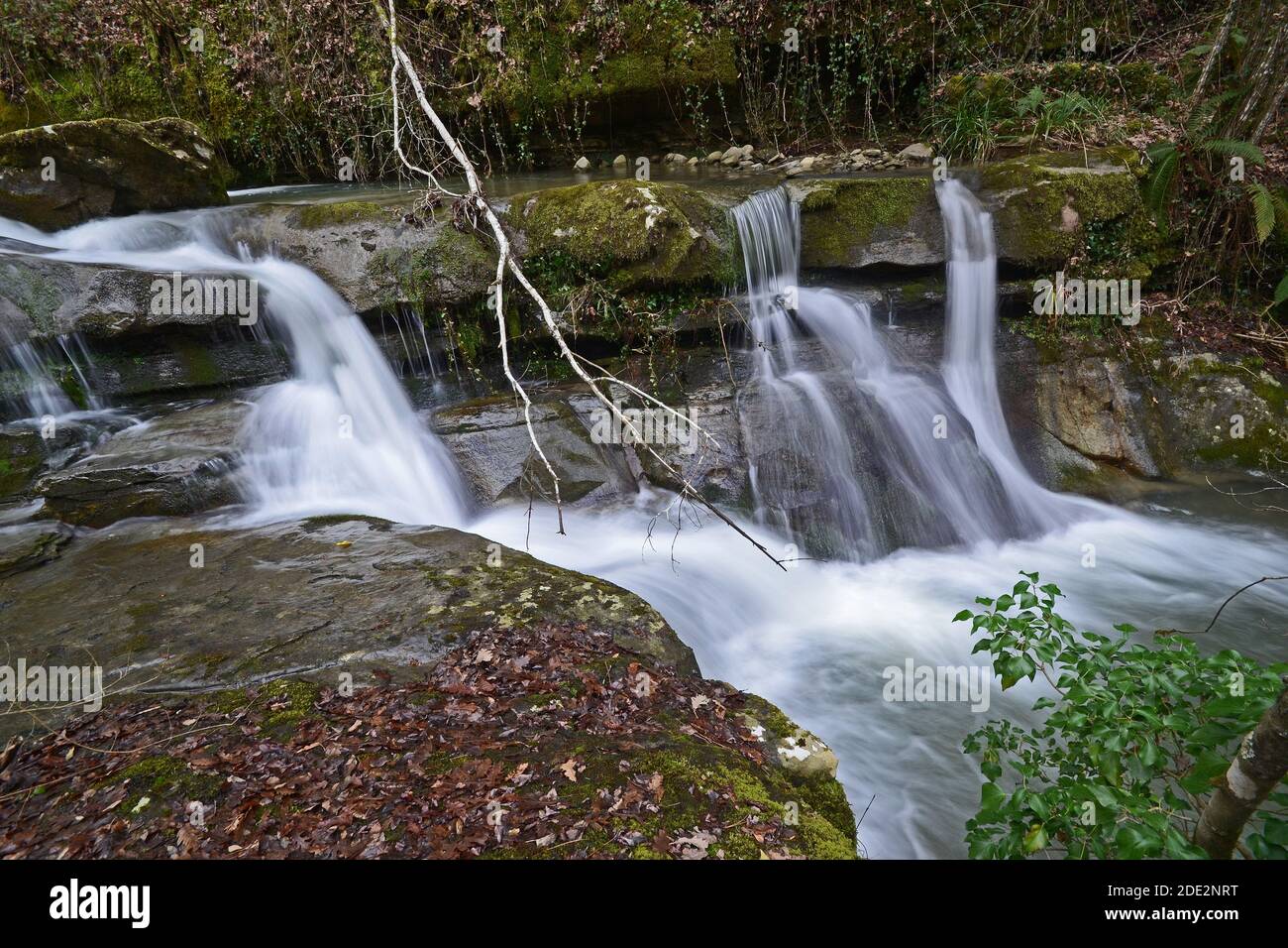 Messy stream flowing In forest, in Tuscany land Stock Photo - Alamy