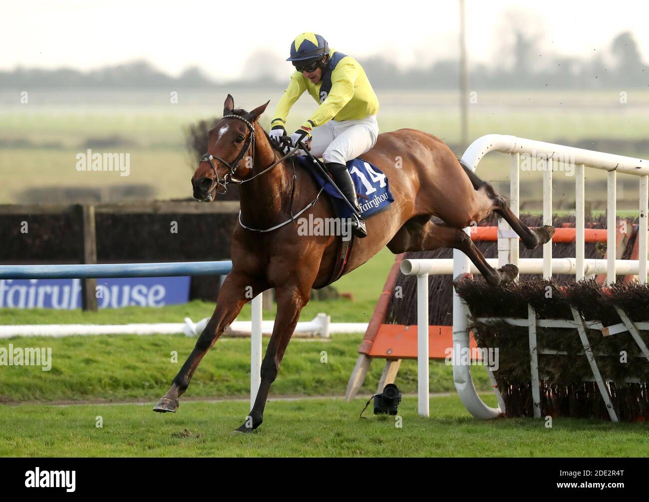 Irish racing industry hi-res stock photography and images - Alamy