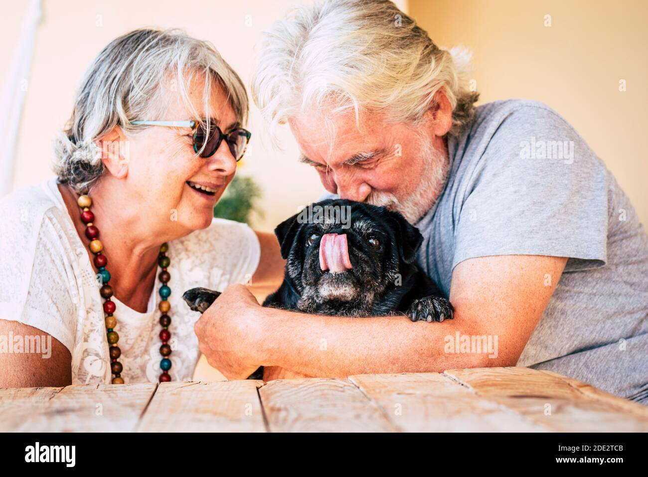 Animal therapy elderly hi-res stock photography and images - Alamy