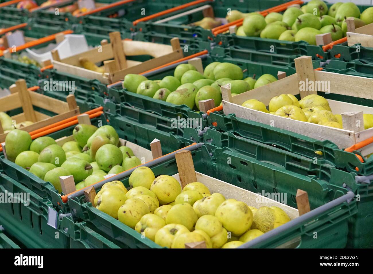 Pears fruits in crates farmers market Stock Photo - Alamy