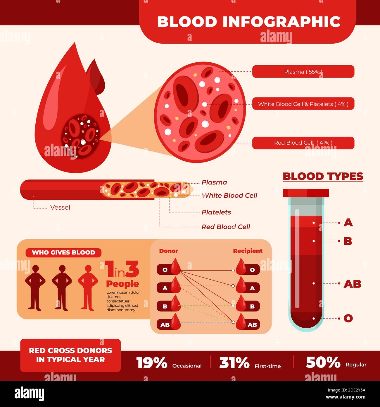 Flat design blood infographic Vector illustration Stock Vector Image ...