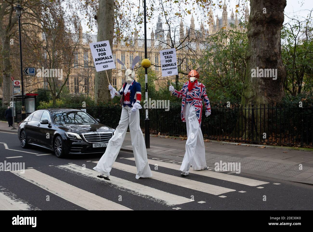 20th Anniversary of fur-free farming in the UK. Stilt-walkers dressed ...
