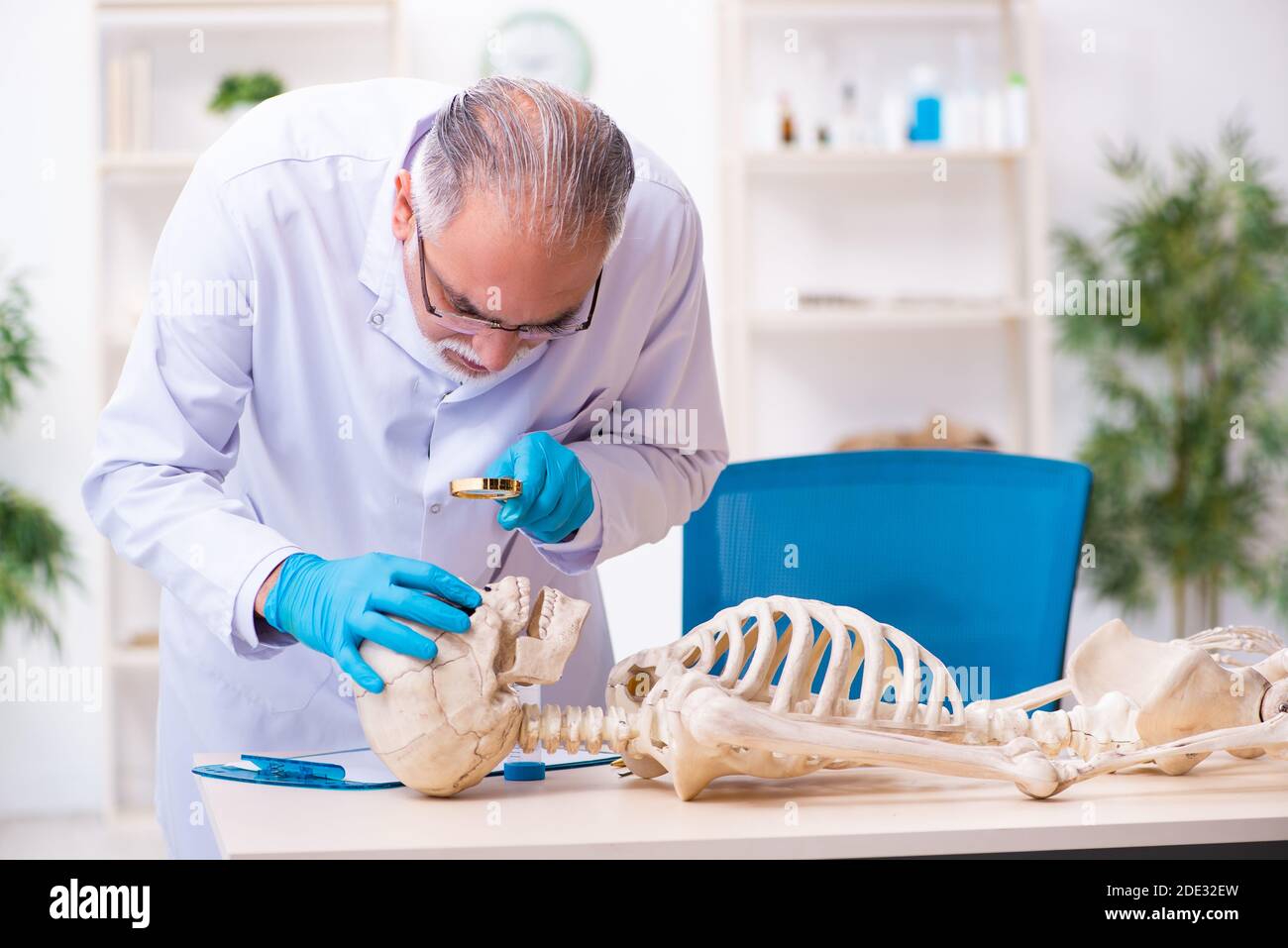 Old male anthropologist working in the lab Stock Photo - Alamy