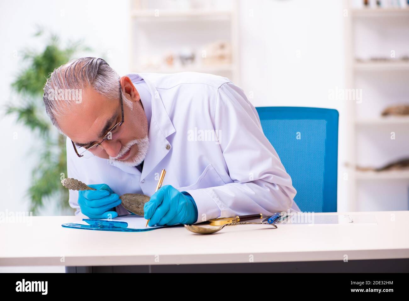Old male archaeologist working in the lab Stock Photo - Alamy