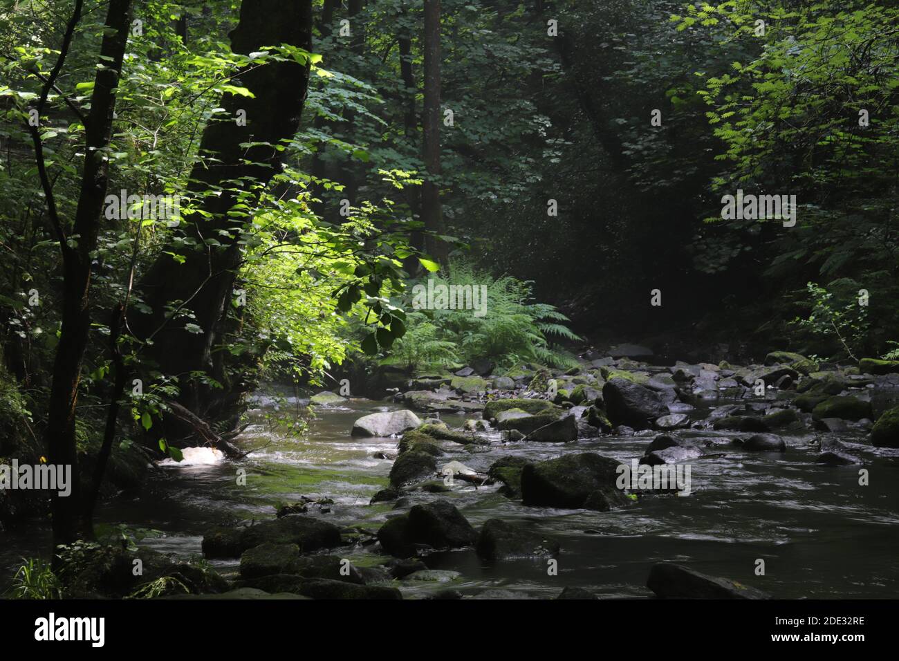 Rivelin Valley High Resolution Stock Photography and Images - Alamy