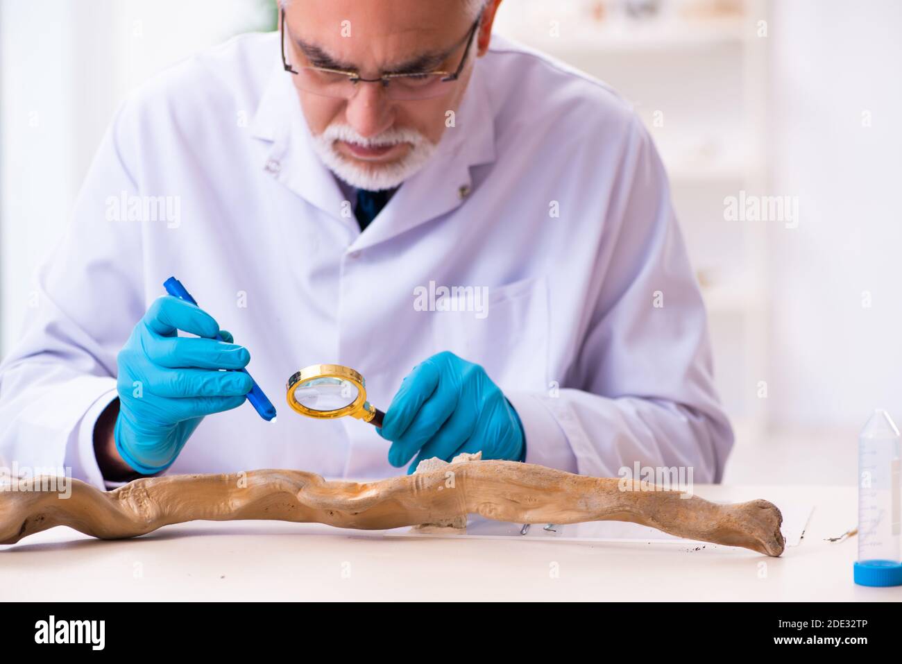 Old male paleontologist working in the lab Stock Photo - Alamy