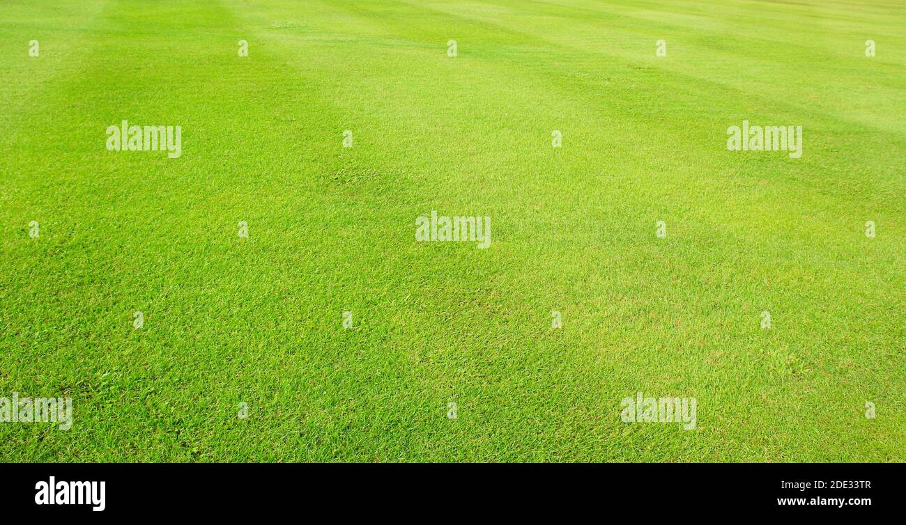 Green grass field and garden Stock Photo - Alamy