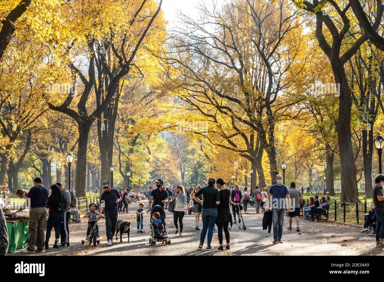 Autumn city walk hi-res stock photography and images - Alamy