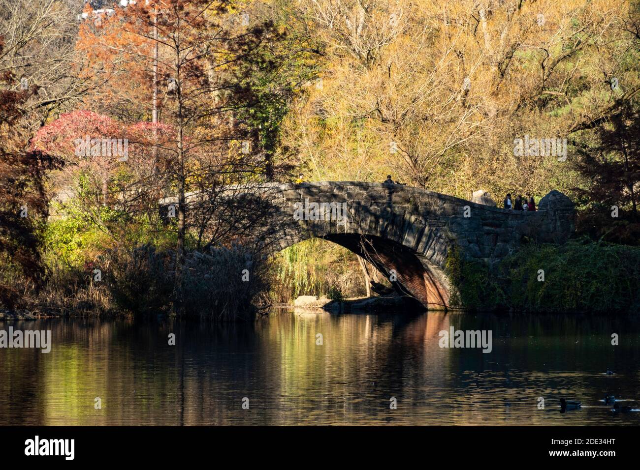 Gapstow Bridge is an icon in Central Park, NYC, USA Stock Photo - Alamy