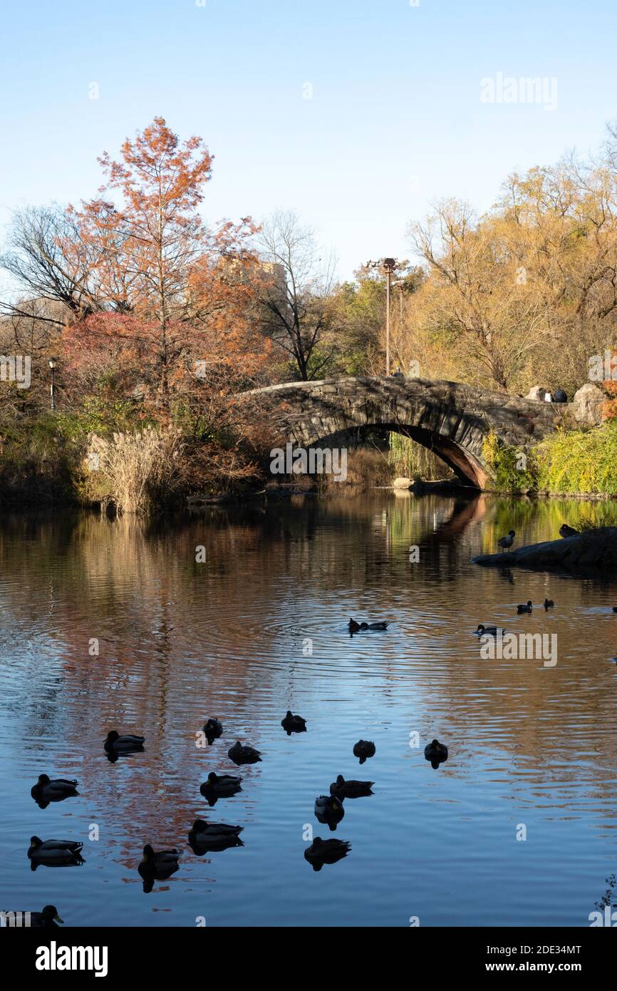 Gapstow Bridge is an icon in Central Park, NYC, USA Stock Photo - Alamy