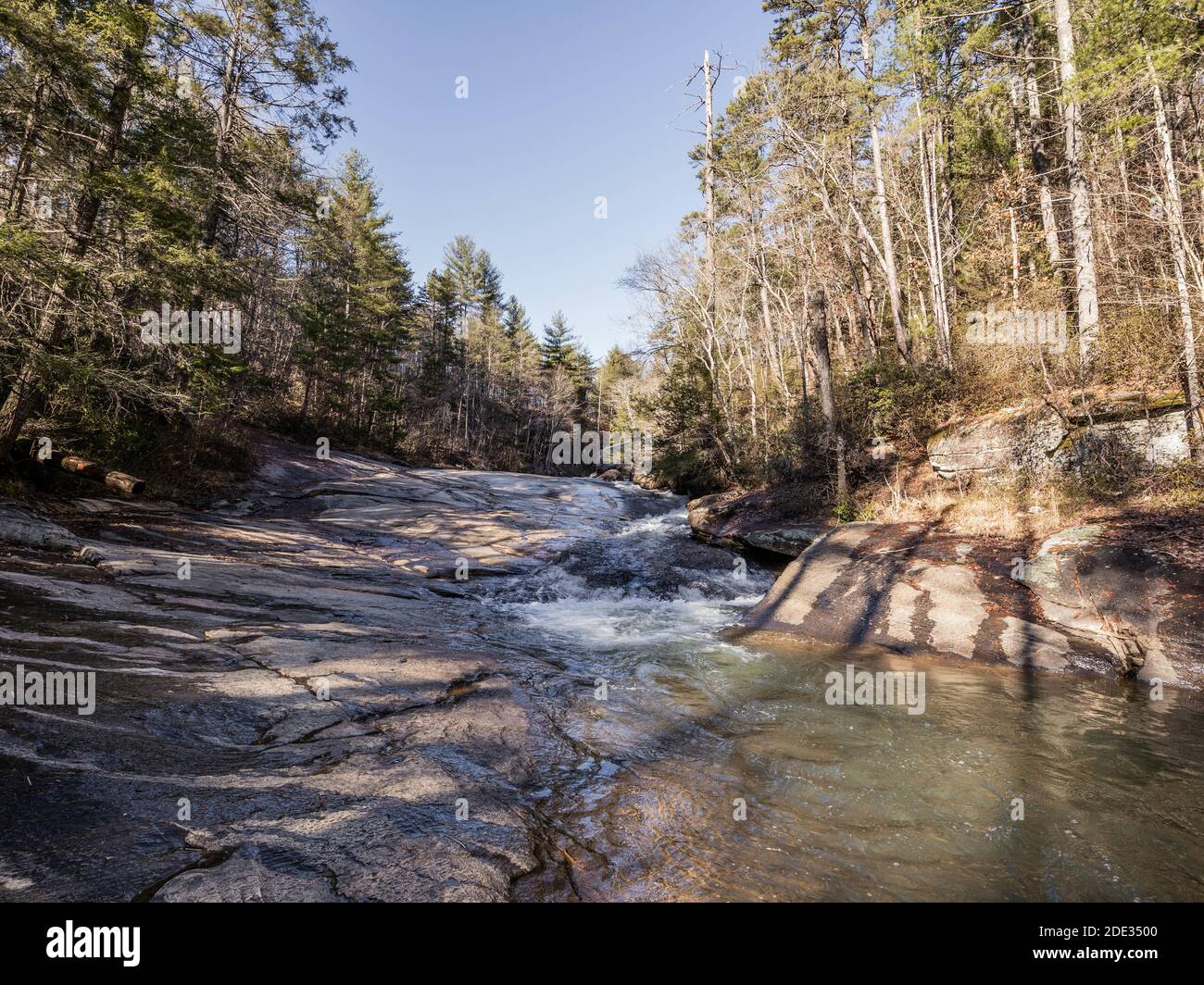 A shallow rocky river surrounded by tall autumn trees during daylight ...