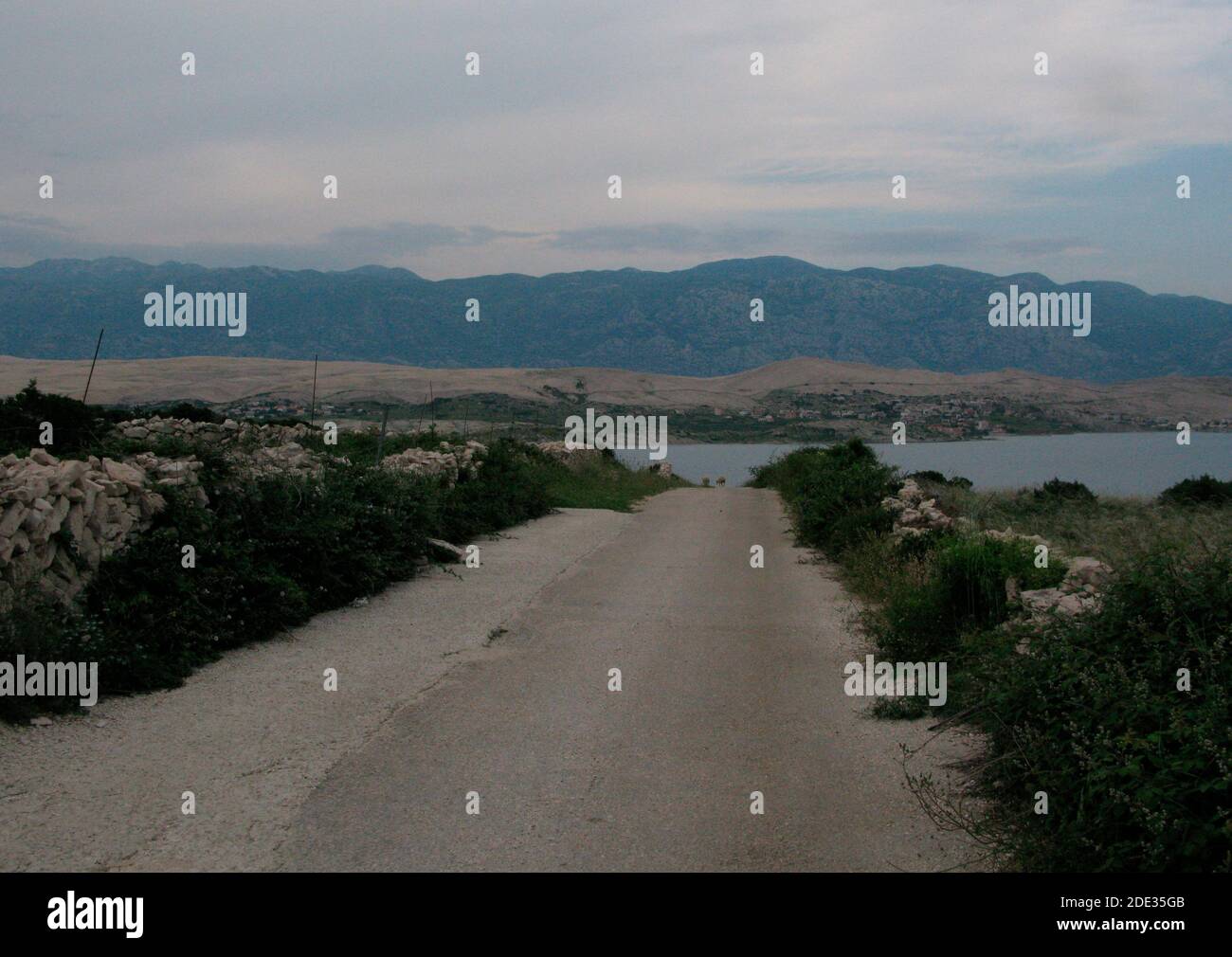 country road or rural highway, public road traffic and transportation ...