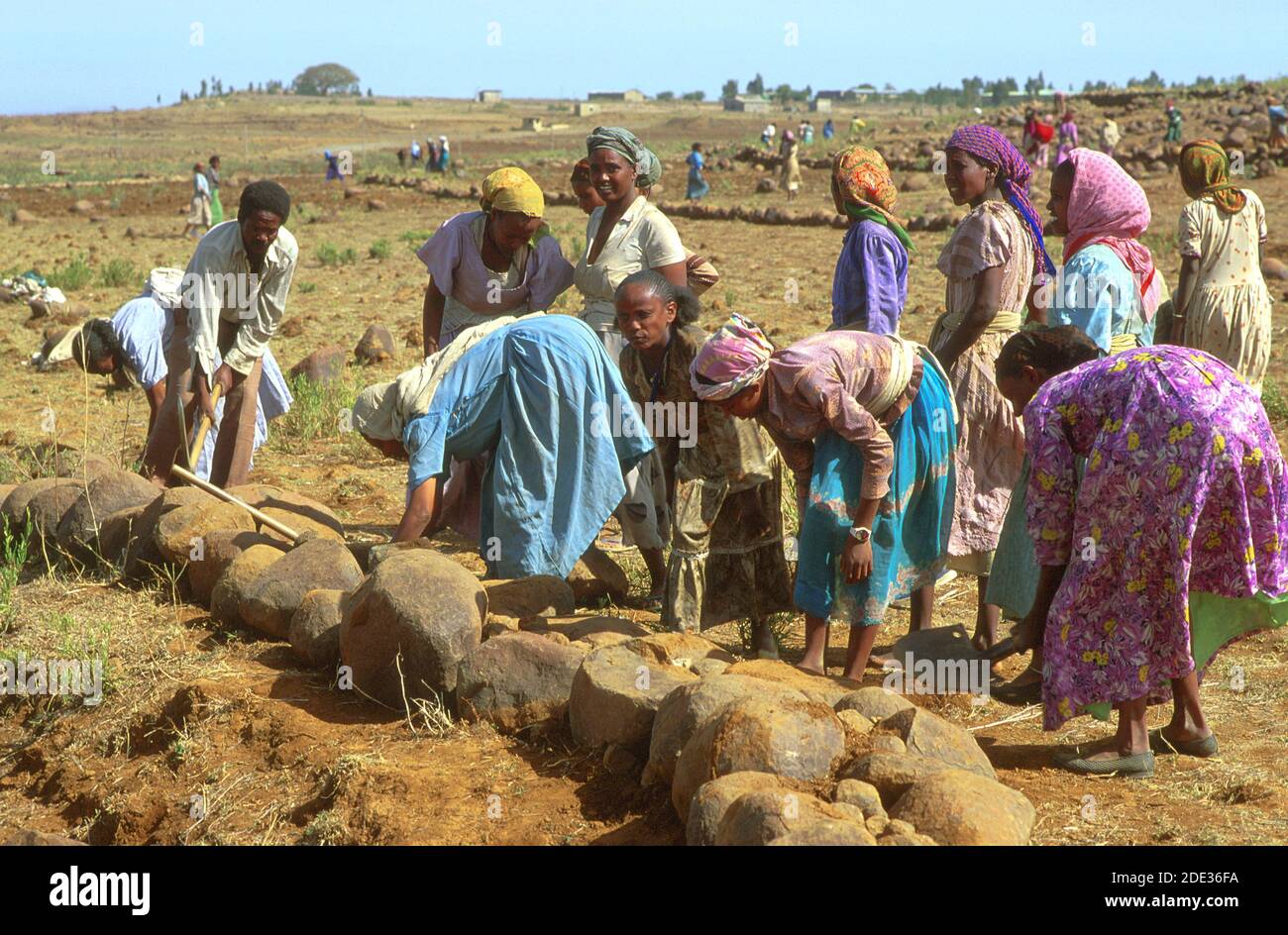 Community terracing land to prevent soil erosion on a food-for-work ...