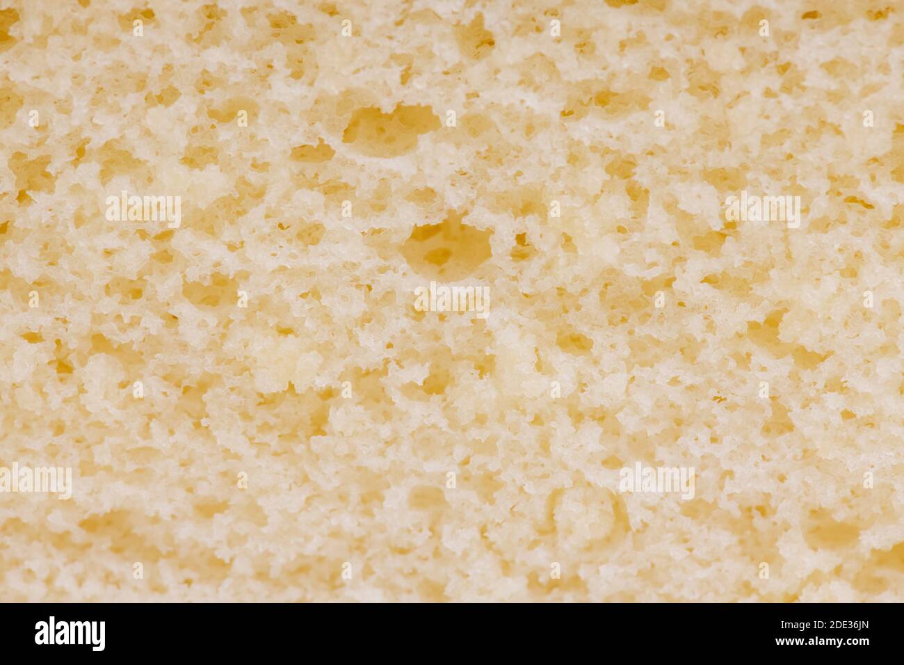 Section of sponge cake, japanese sweets, castella cake, (Japanese ...