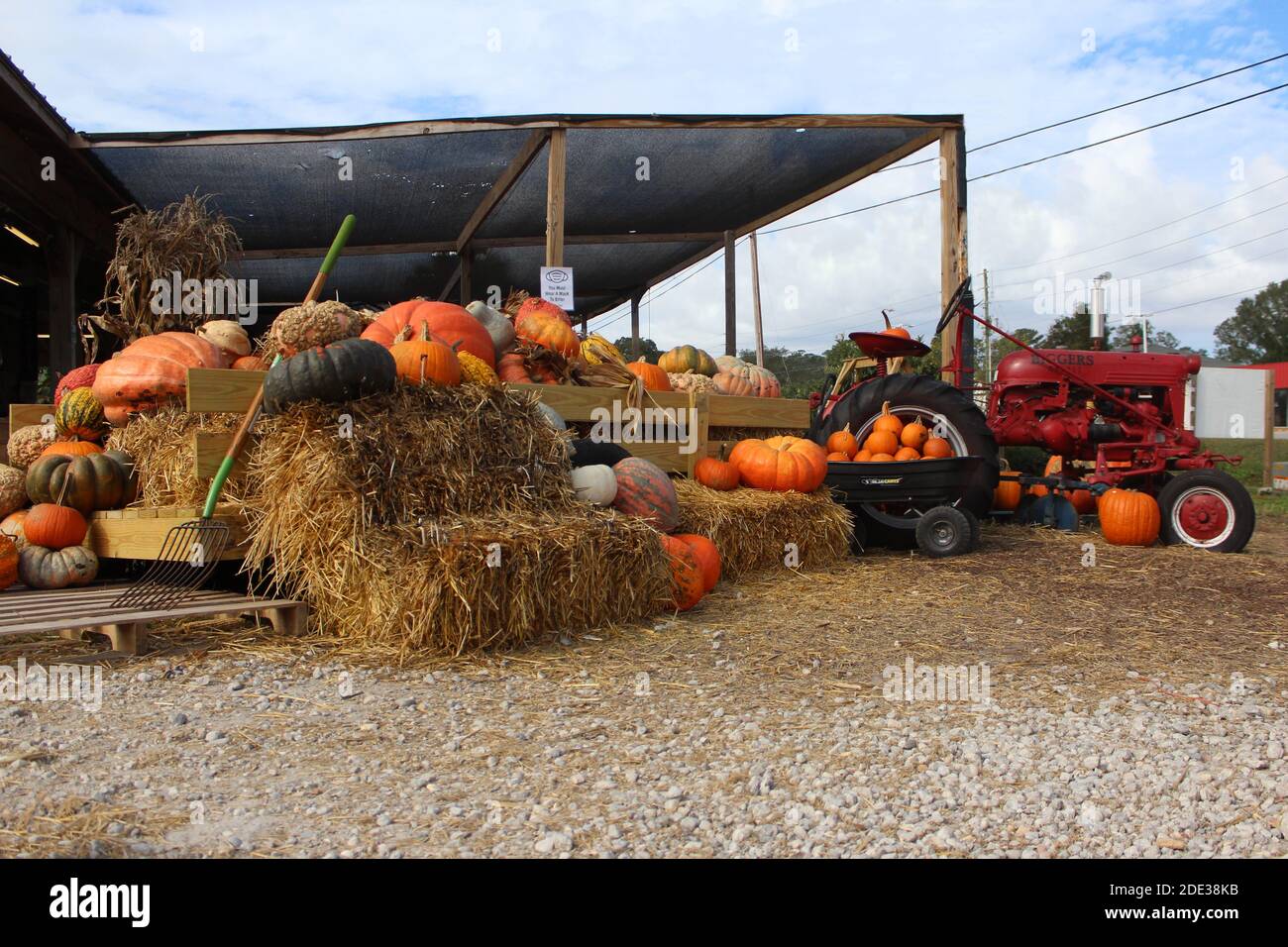 Harvest Scene at the Produce Stand #3 Stock Photo - Alamy