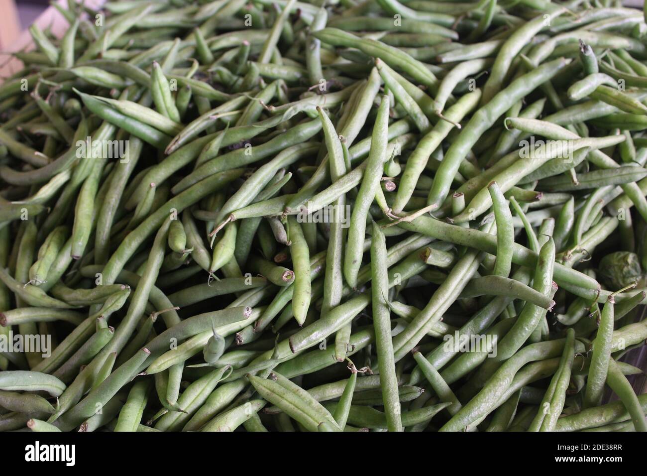 Vegetable farmers and farming hi-res stock photography and images - Alamy