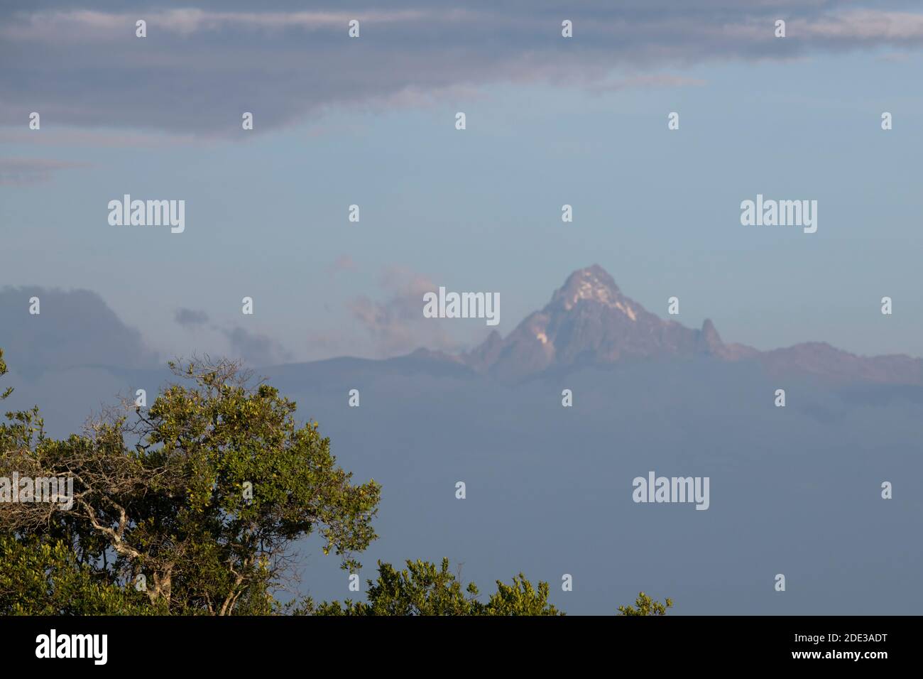 Africa, Kenya, Laikipia Plateau, Northern Frontier District, Ol Pejeta ...