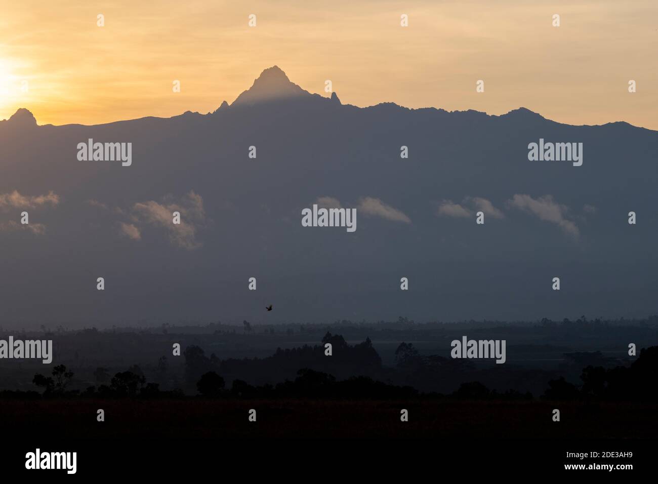Africa, Kenya, Laikipia Plateau, Northern Frontier District, Ol Pejeta ...