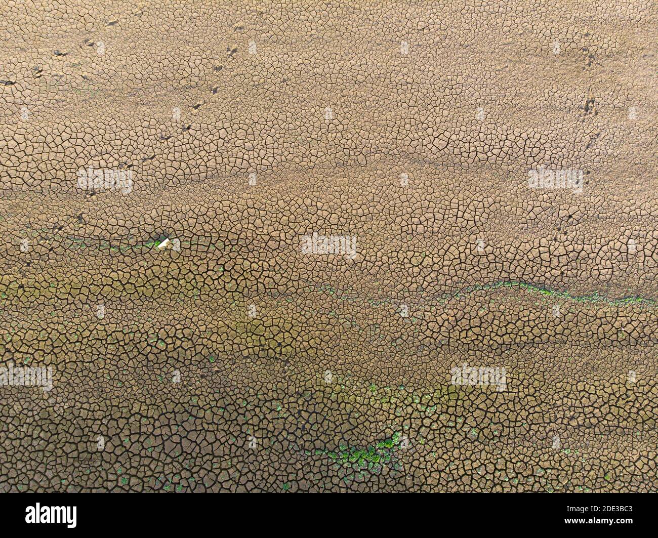 Drying up water reservoir in Poland Stock Photo - Alamy