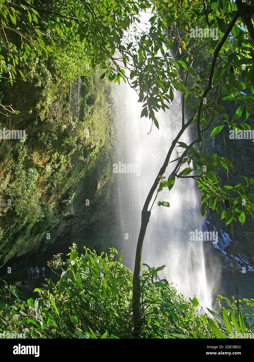 Misol ha palenque hi-res stock photography and images - Alamy