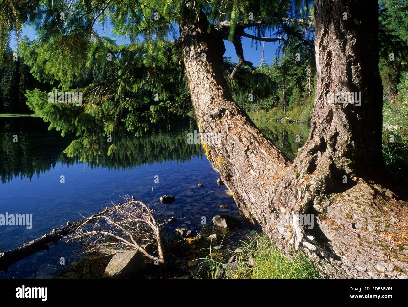 Middle Erma Bell Lake, Three Sisters Wilderness, Willamette National ...