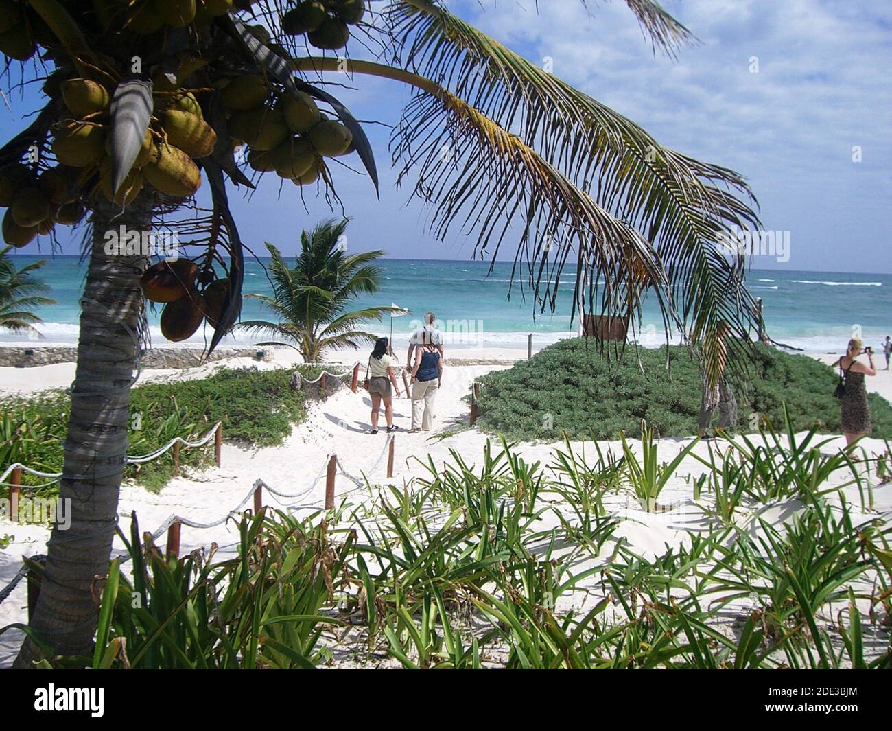 Plage de tulum hi-res stock photography and images - Alamy