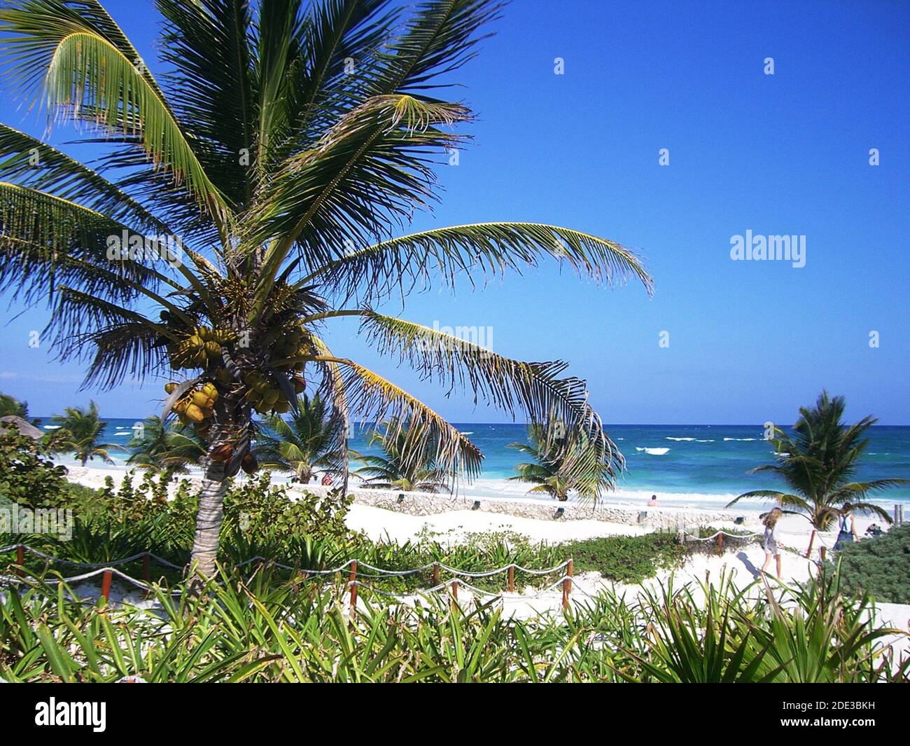 Plages de cancun hi-res stock photography and images - Alamy