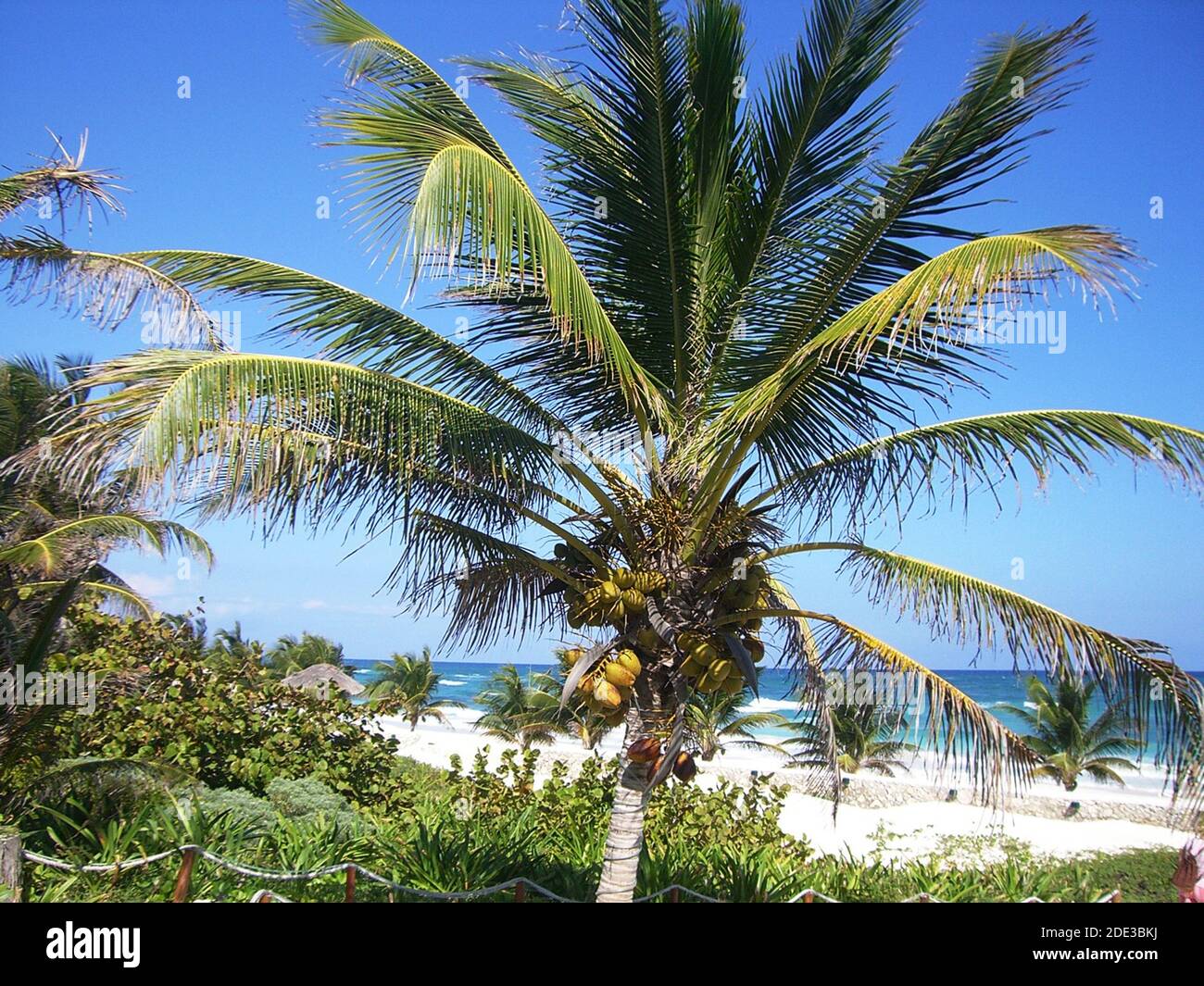 Plages de cancun hi-res stock photography and images - Alamy