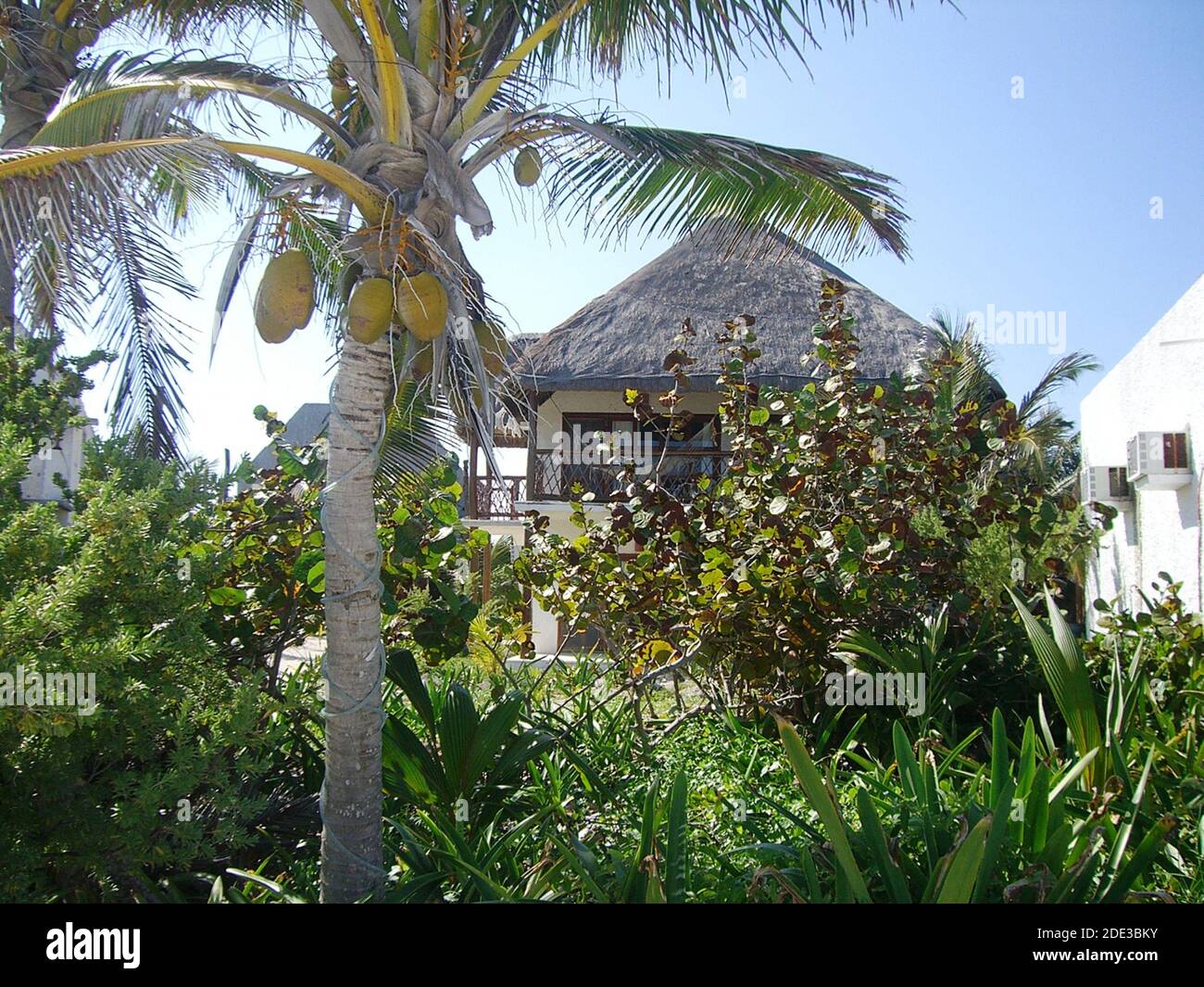 Plages de cancun hi-res stock photography and images - Alamy