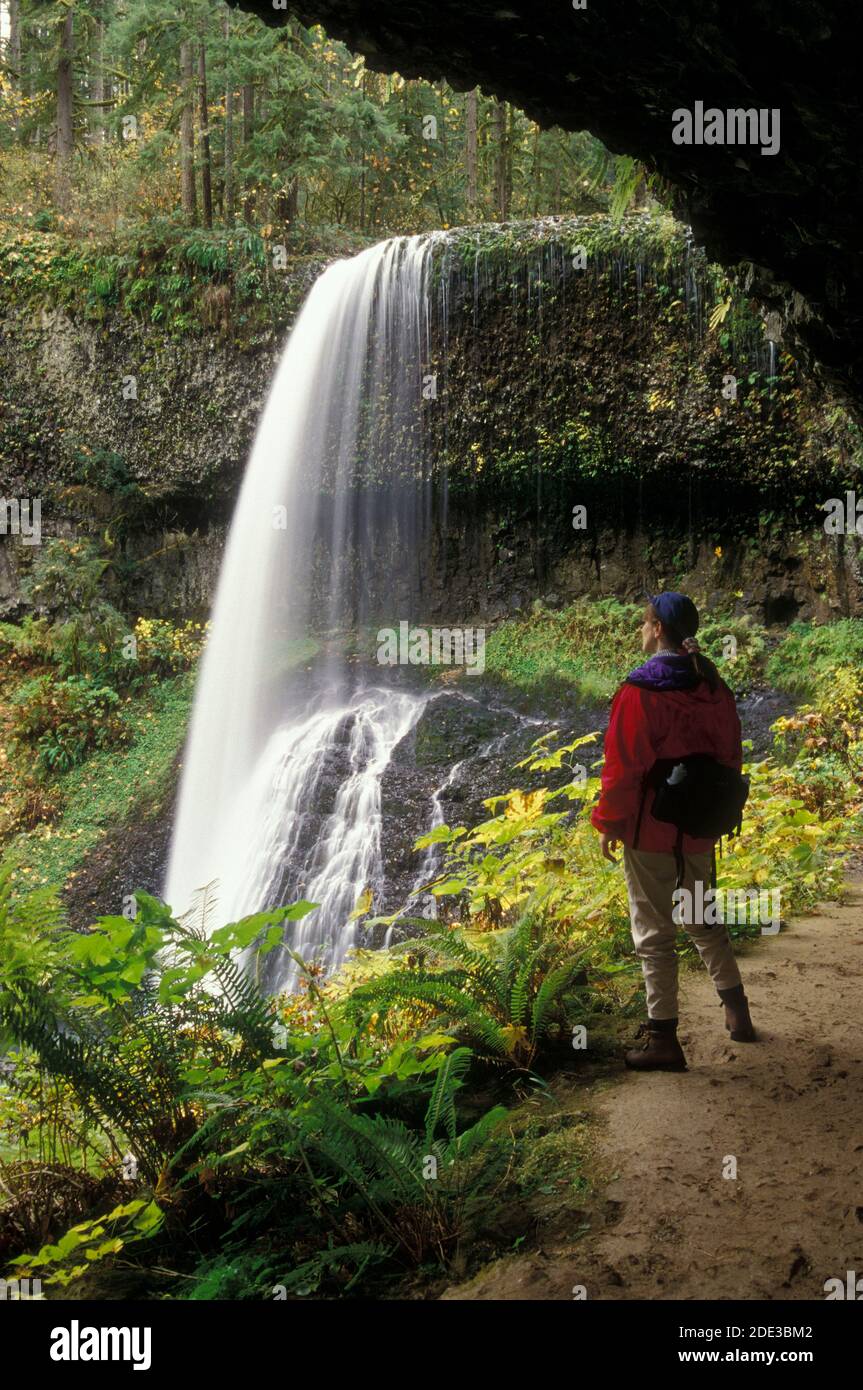 Middle North Falls, Silver Falls State Park, Oregon Stock Photo - Alamy