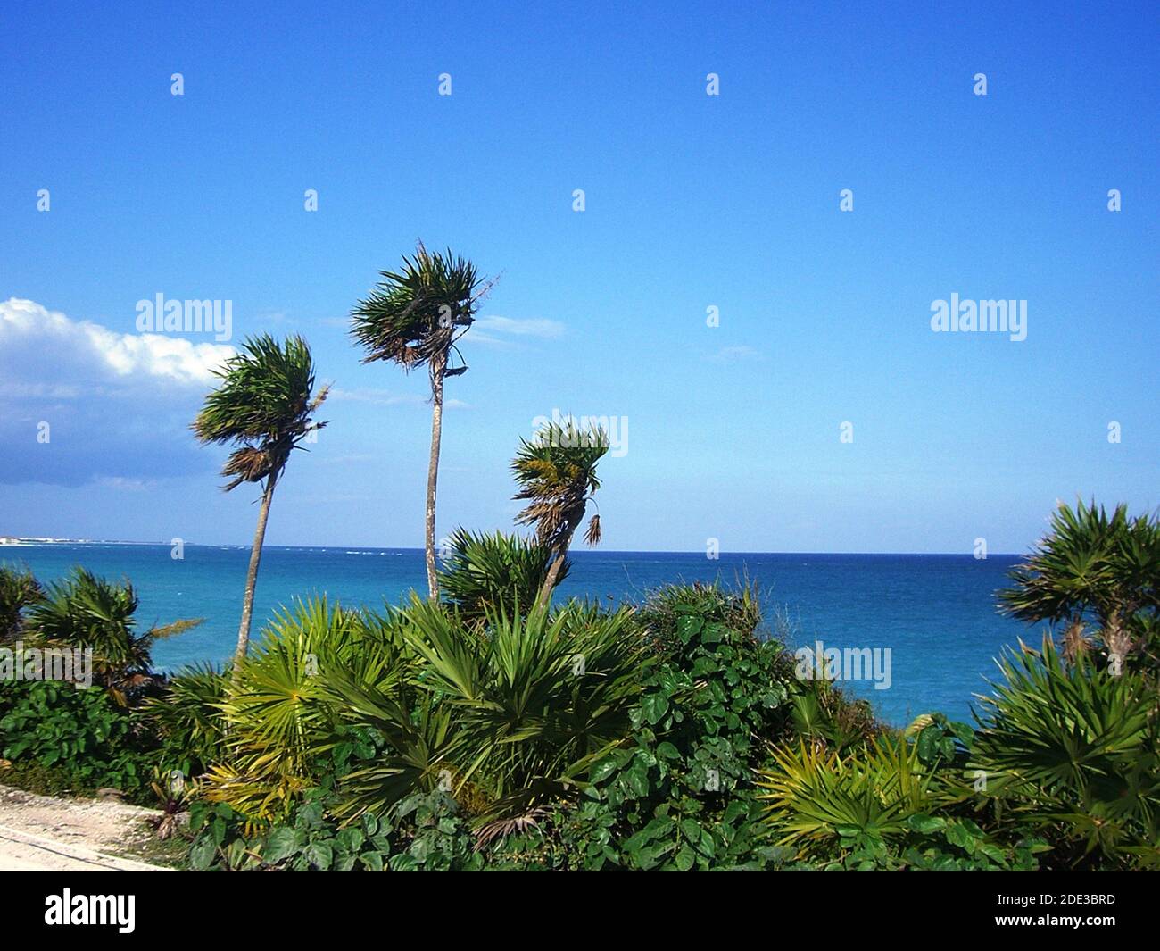Plages de cancun hi-res stock photography and images - Alamy
